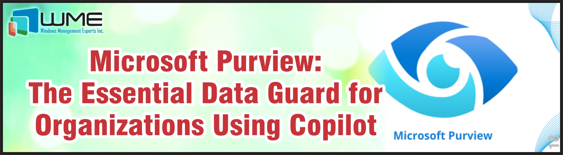 MS Purview - Essential Data Guard for Organizations Using Copilot